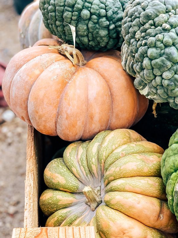 Firehouse Landscape Supply - Garden Center, Plants