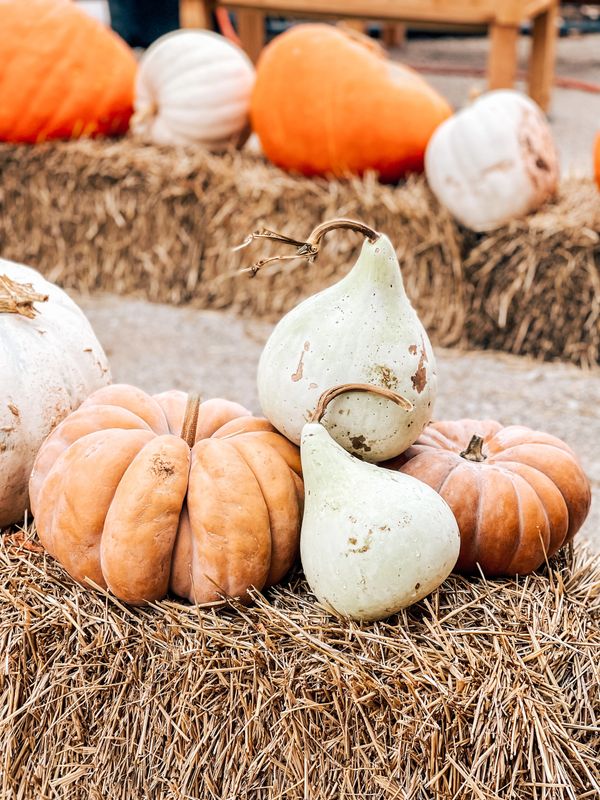 Firehouse Landscape Supply - Garden Center, Plants