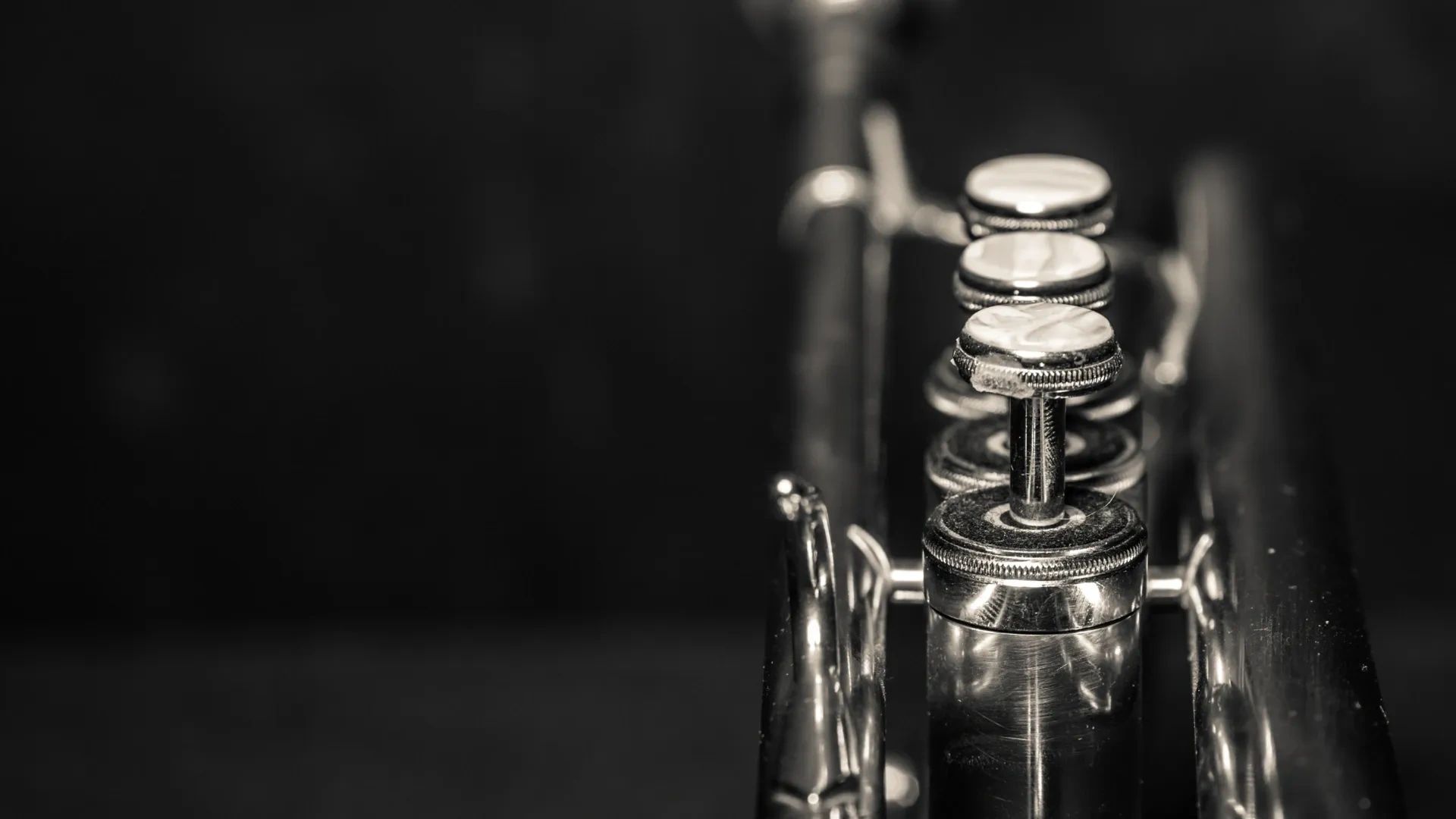 Jose v | Latinamerican Trumpets Association