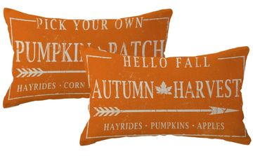 Fall Edition