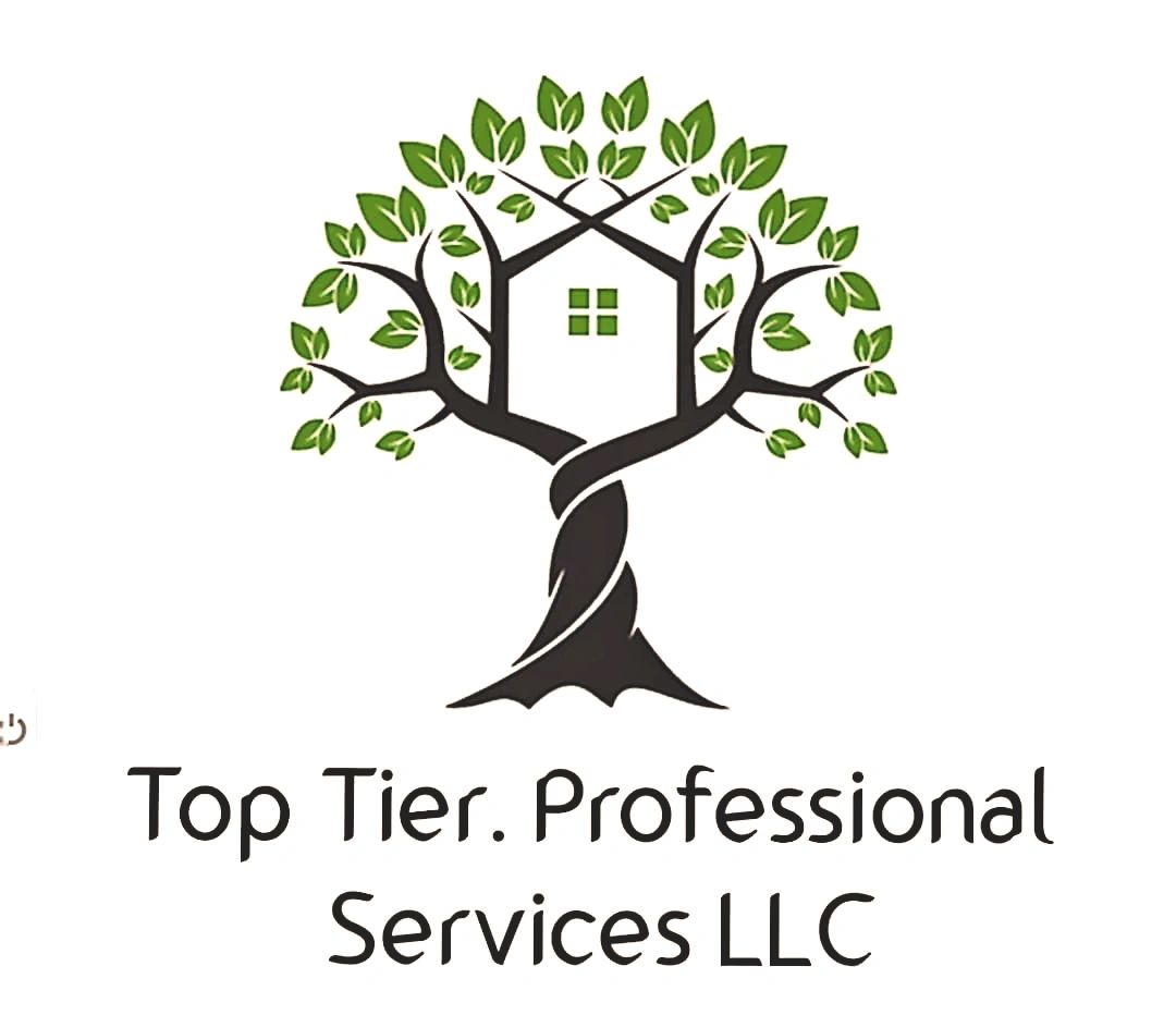 Top Tier Professional Services LLC