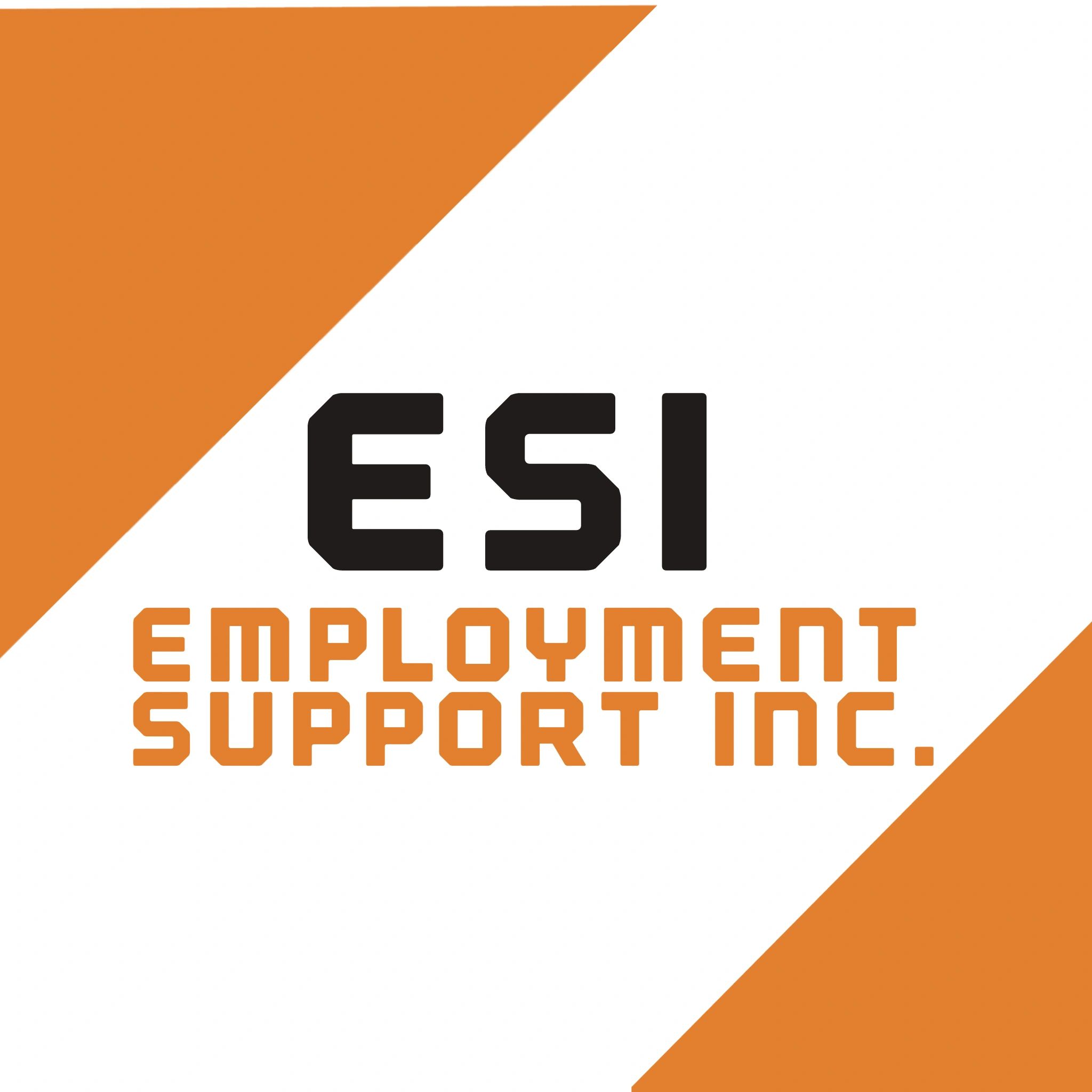The ESI Store