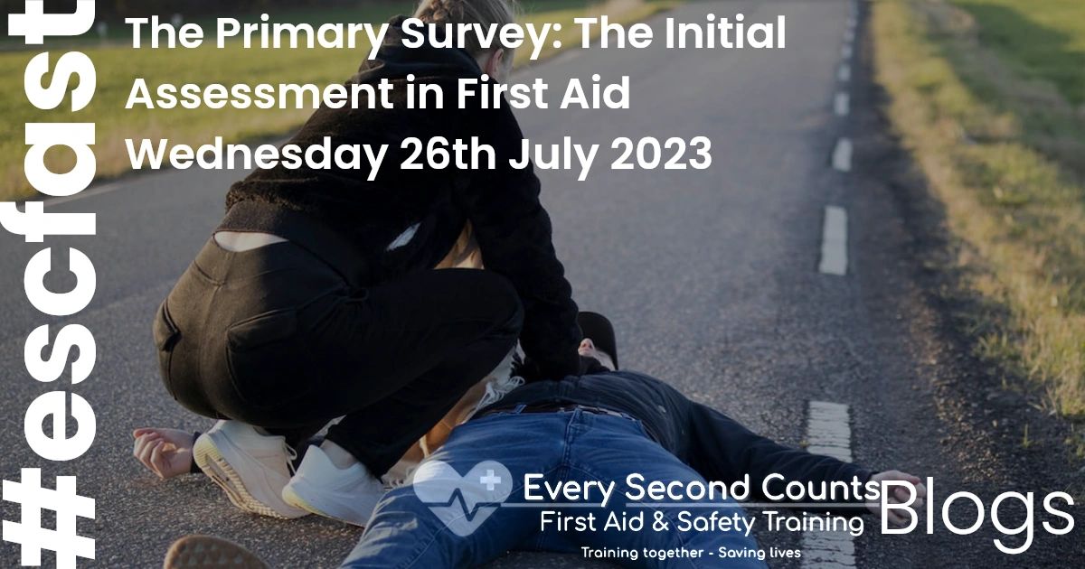 The Primary Survey: The Initial Assessment in First Aid