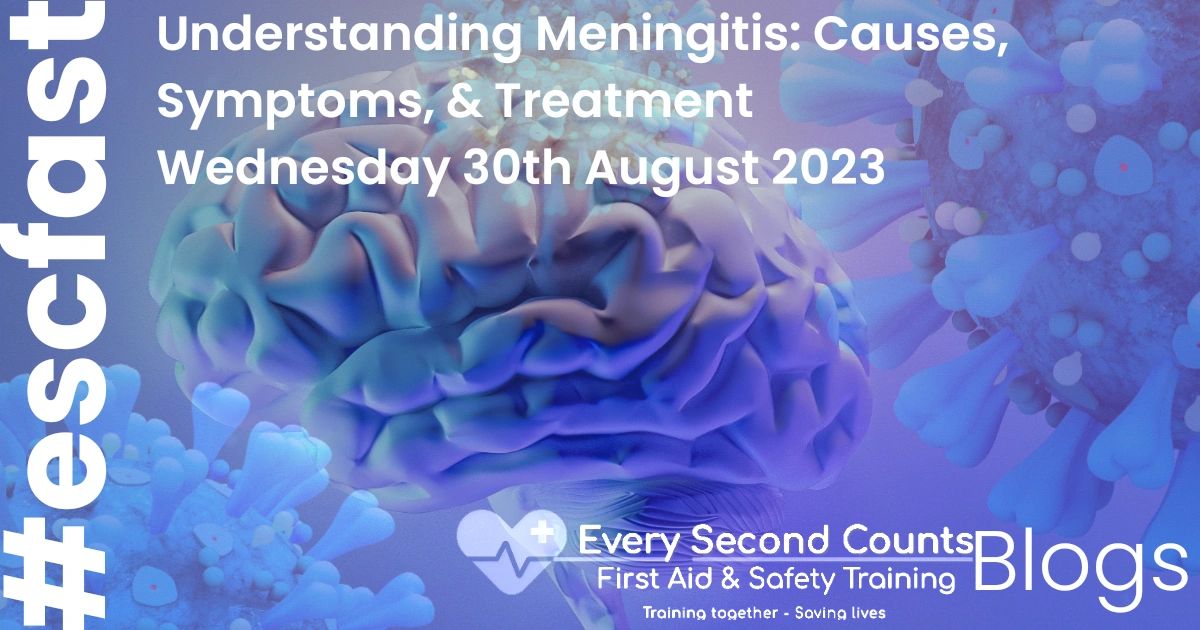 Understanding Meningitis: Causes, Symptoms, & Treatment