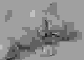 Macushla Ragdolls - Ragdoll, Traits | Macushla Ragdolls