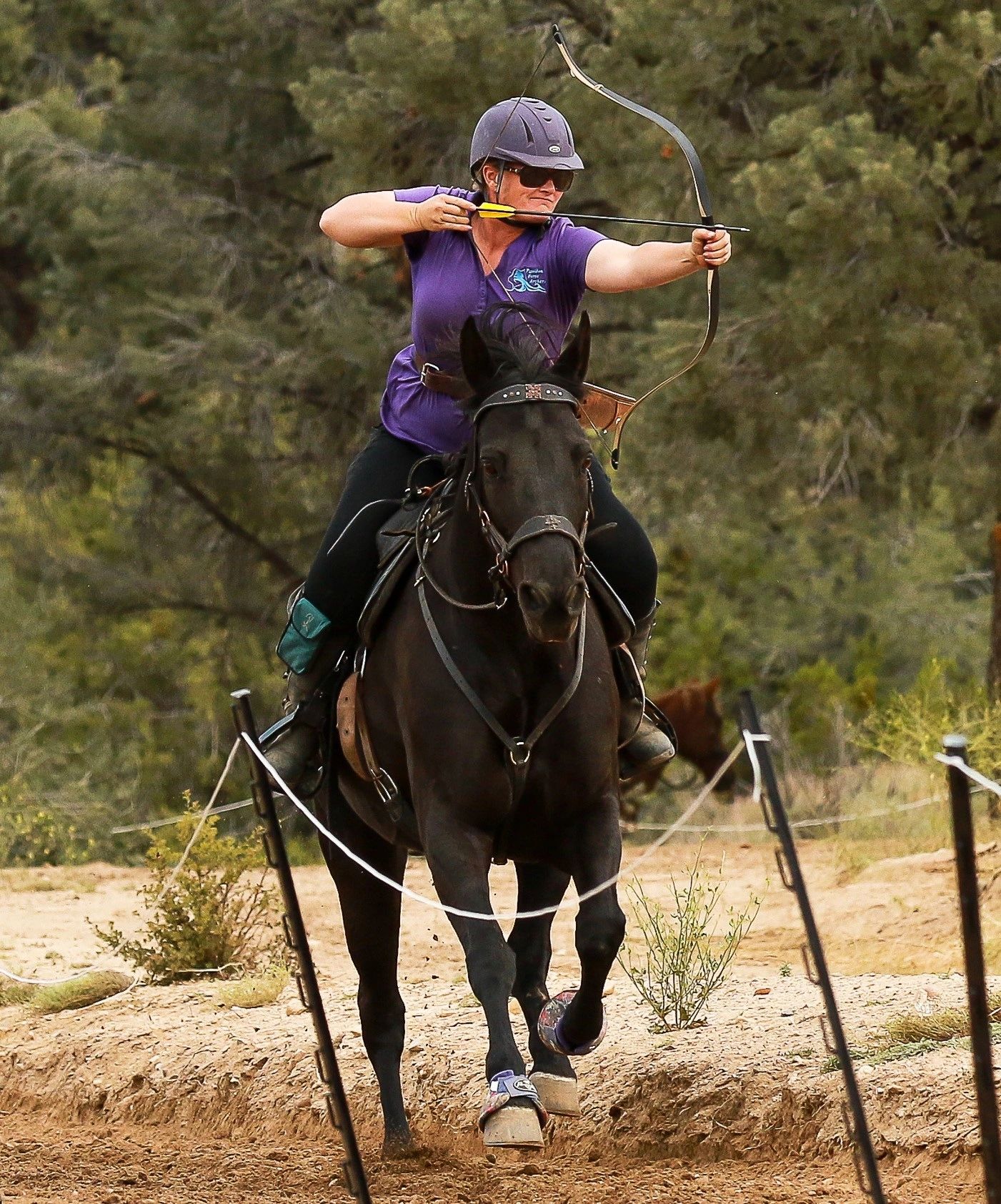 Horseback Archery