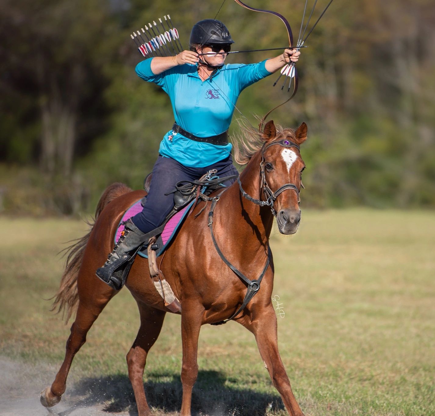 Horseback Archery