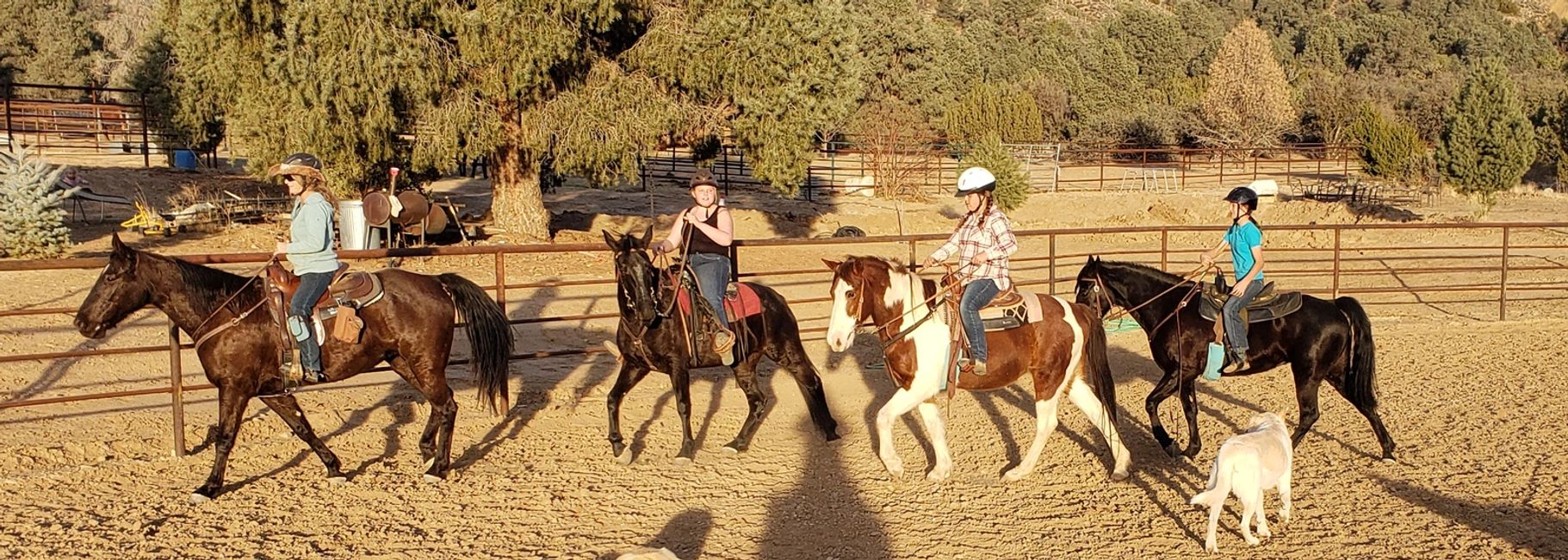 Riding Lessons | Hidden Creek Ranch