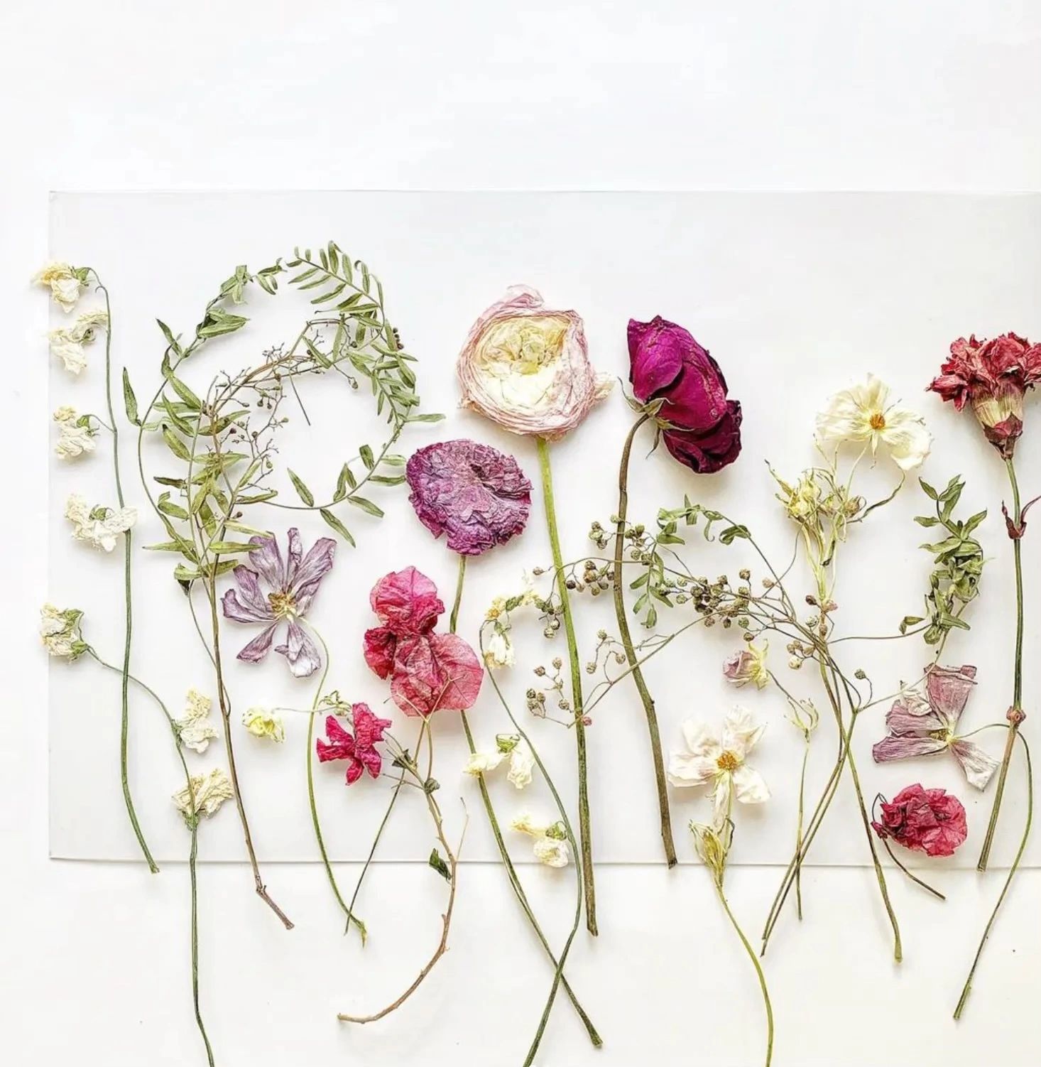 Bouquet Preservation in Boston|Floral Preservation shipping nationwide ...