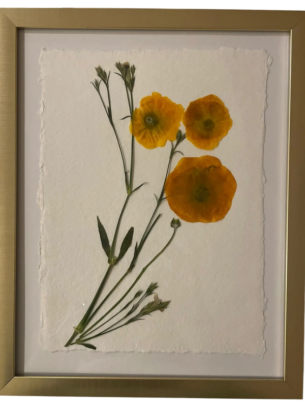 Wedding Bouquet Preservation | Flower Preservation | Pressed and Framed ...