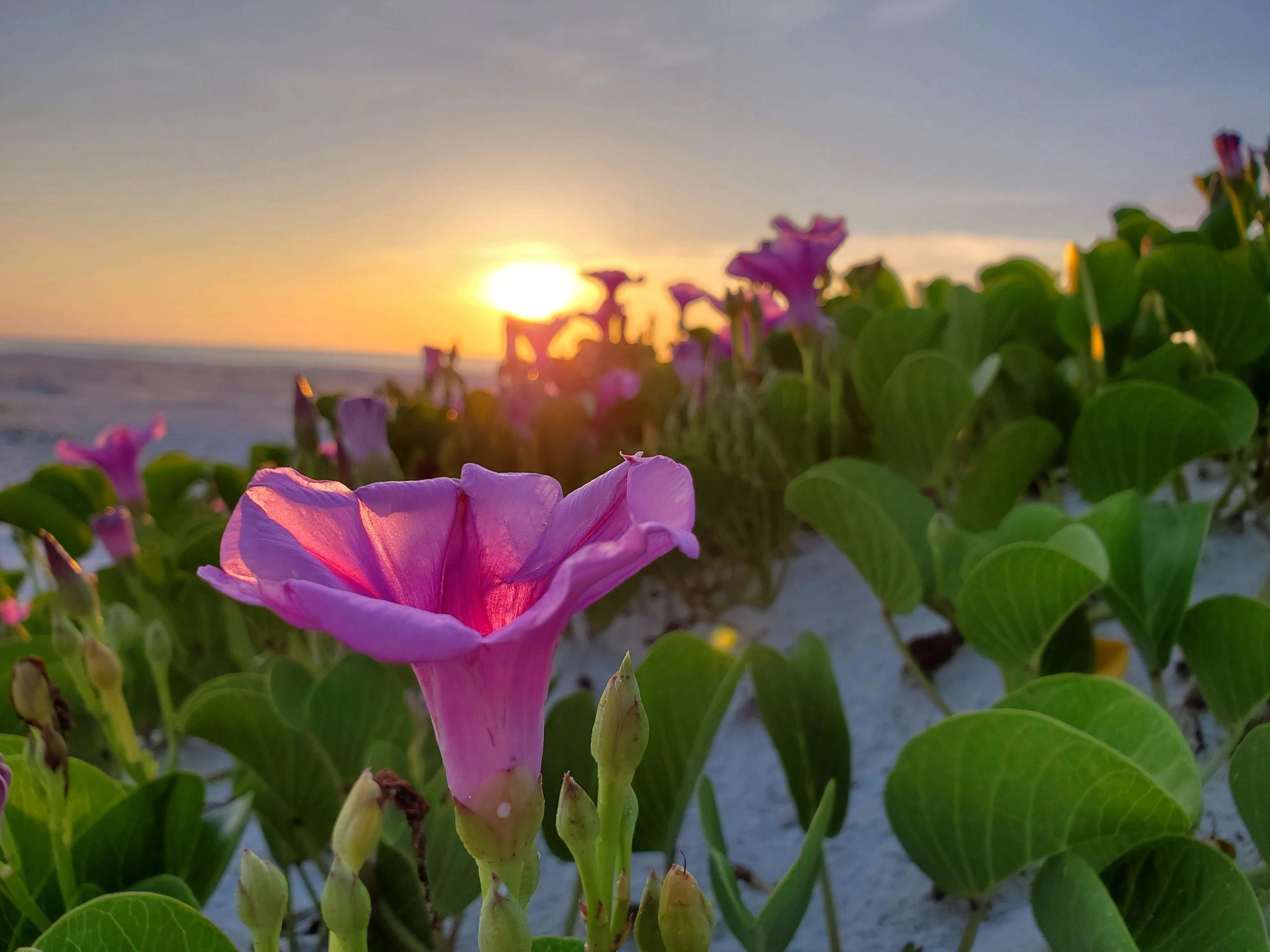 Always Eloheh Consulting - Clinical Supervision, Trauma Therapy