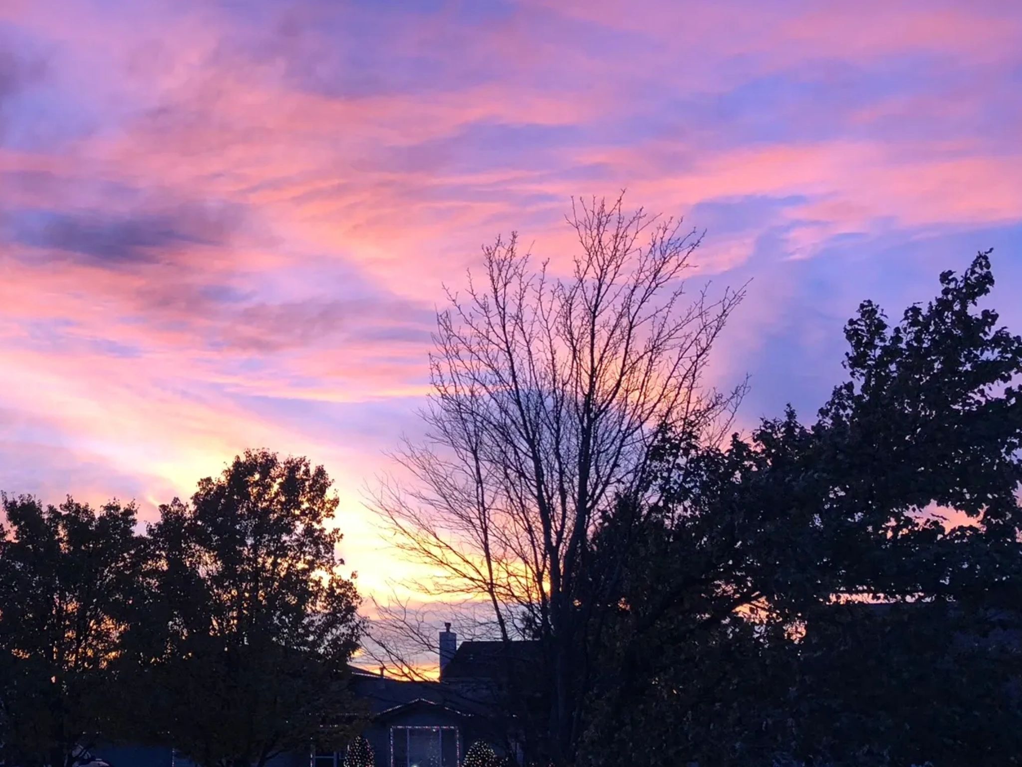 Alex Ps Custom Detail & Tint