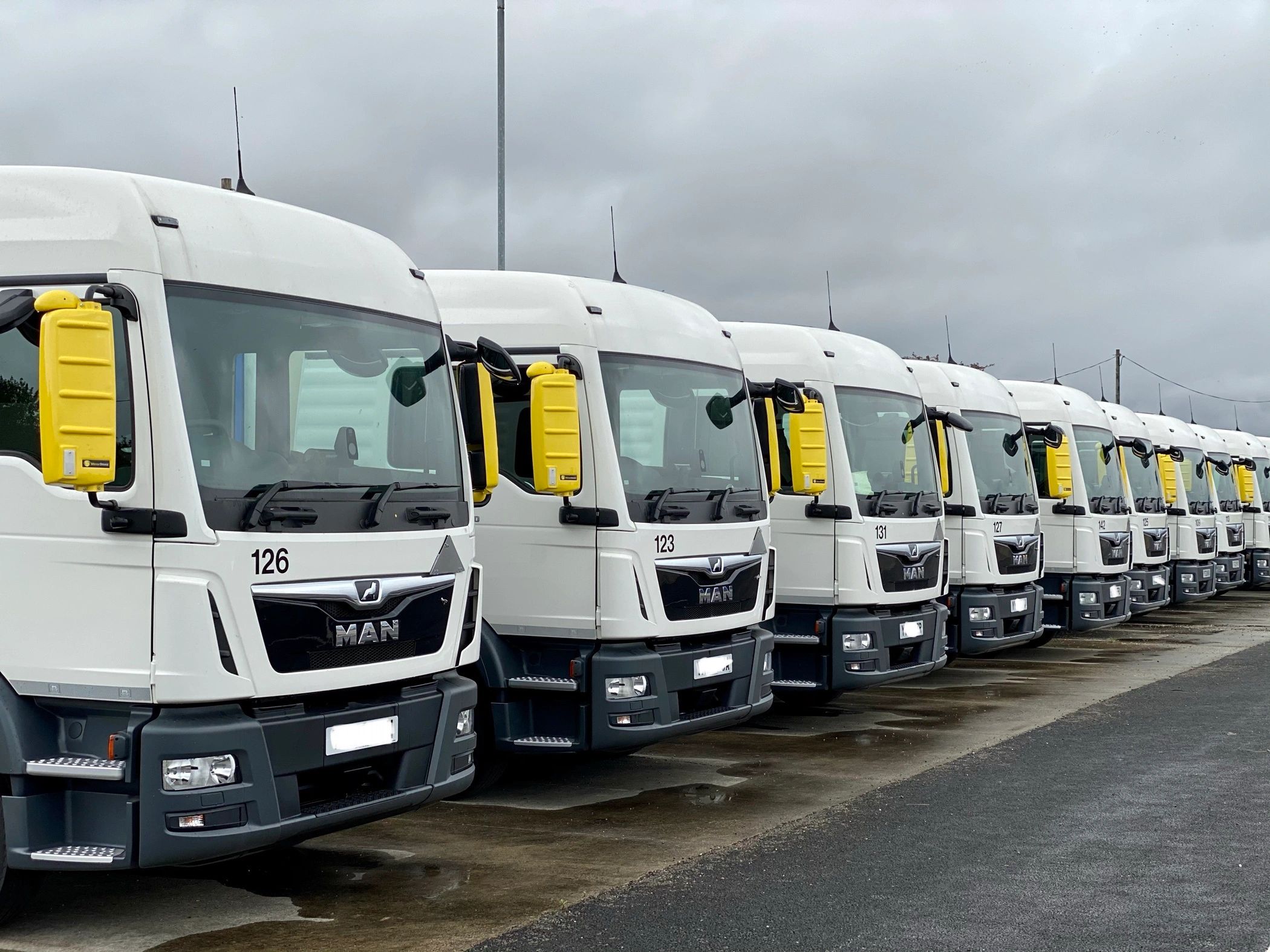 MirrorShield - Professional Mirror Protection for trucks and vans