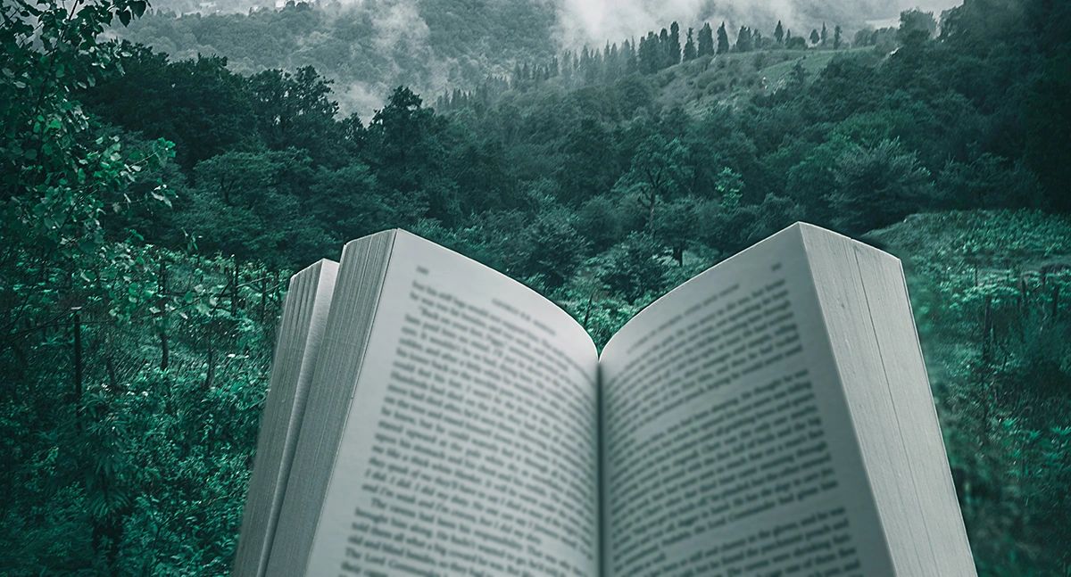 Historical fiction about childrens book writer May Justus.