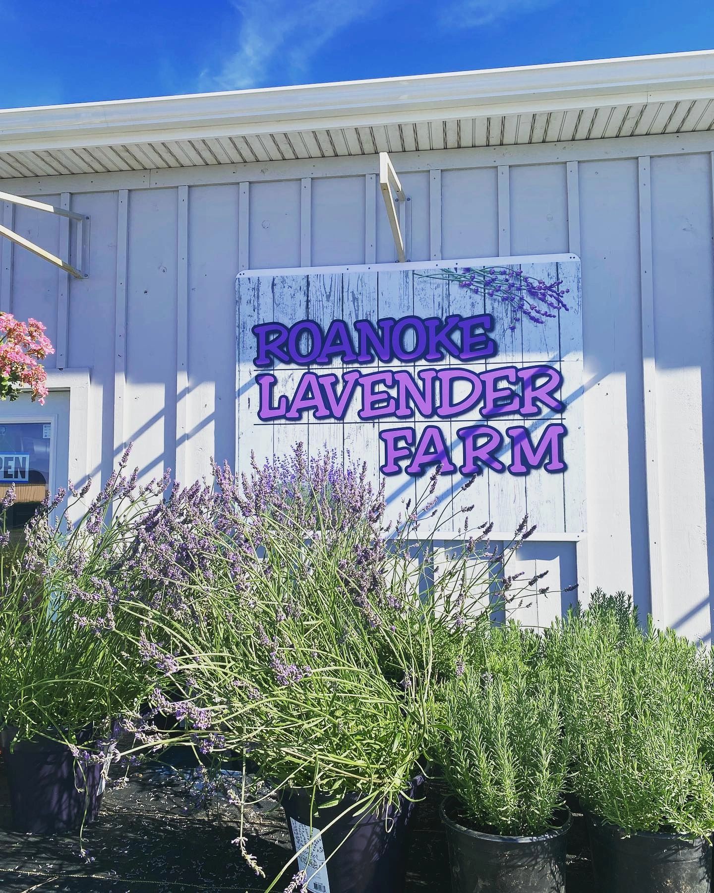 Roanoke Lavender Farm