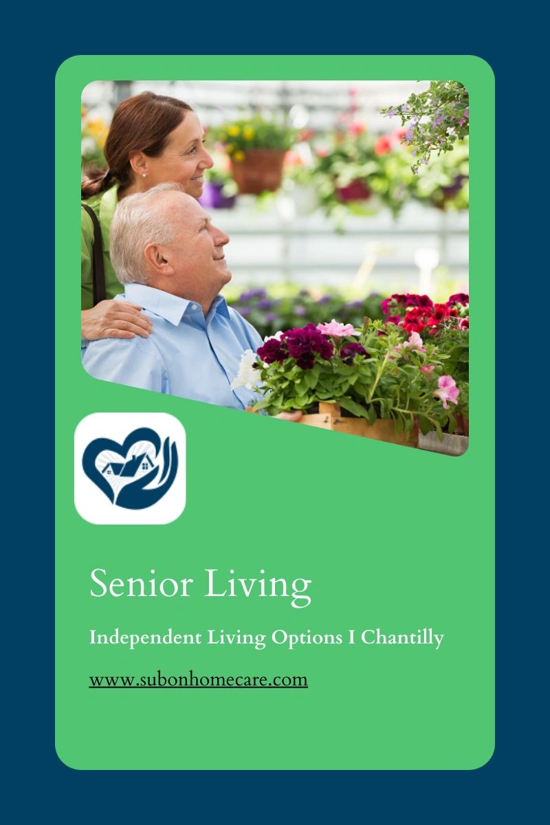 Exploring Senior Living and Independent Living Options