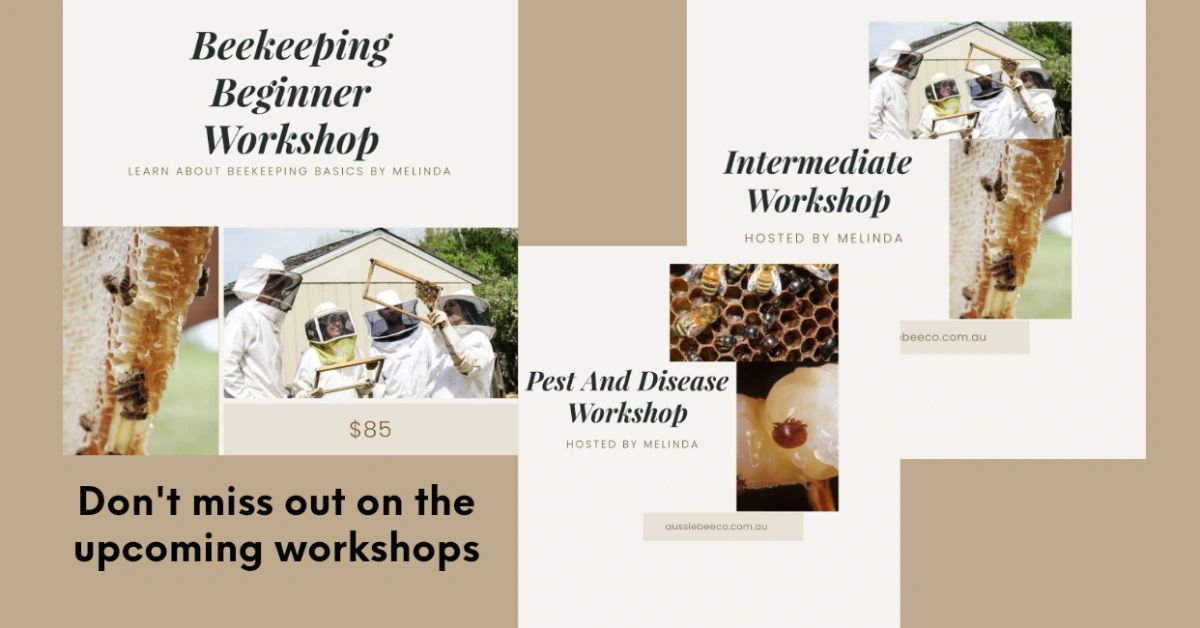 Aussie Bee Corporation - Beekeeping Supplies, Honey, Learning Hub