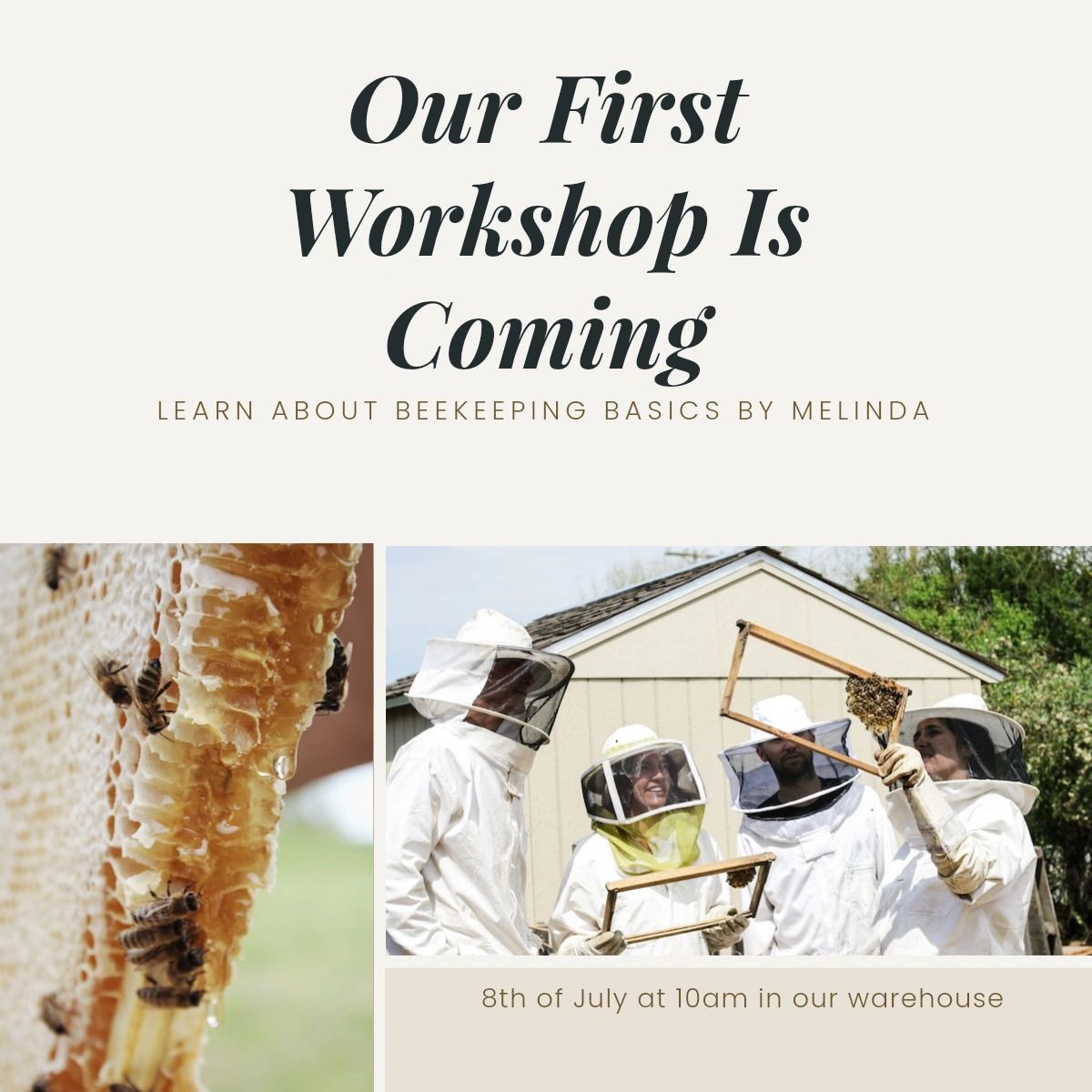 Aussie Bee Corporation - Beekeeping Supplies, Honey, Learning Hub