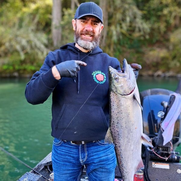 Ultimate Egg Cure - #1 Salmon Egg Cure, #1 Coonshrimp Cure