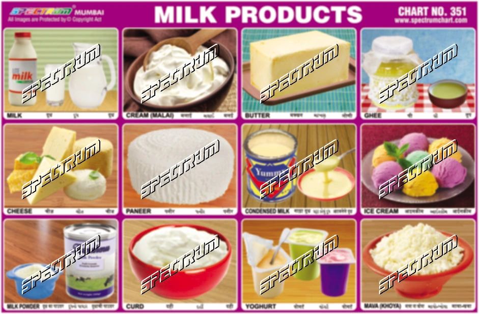 Milk Products Chart For Kids