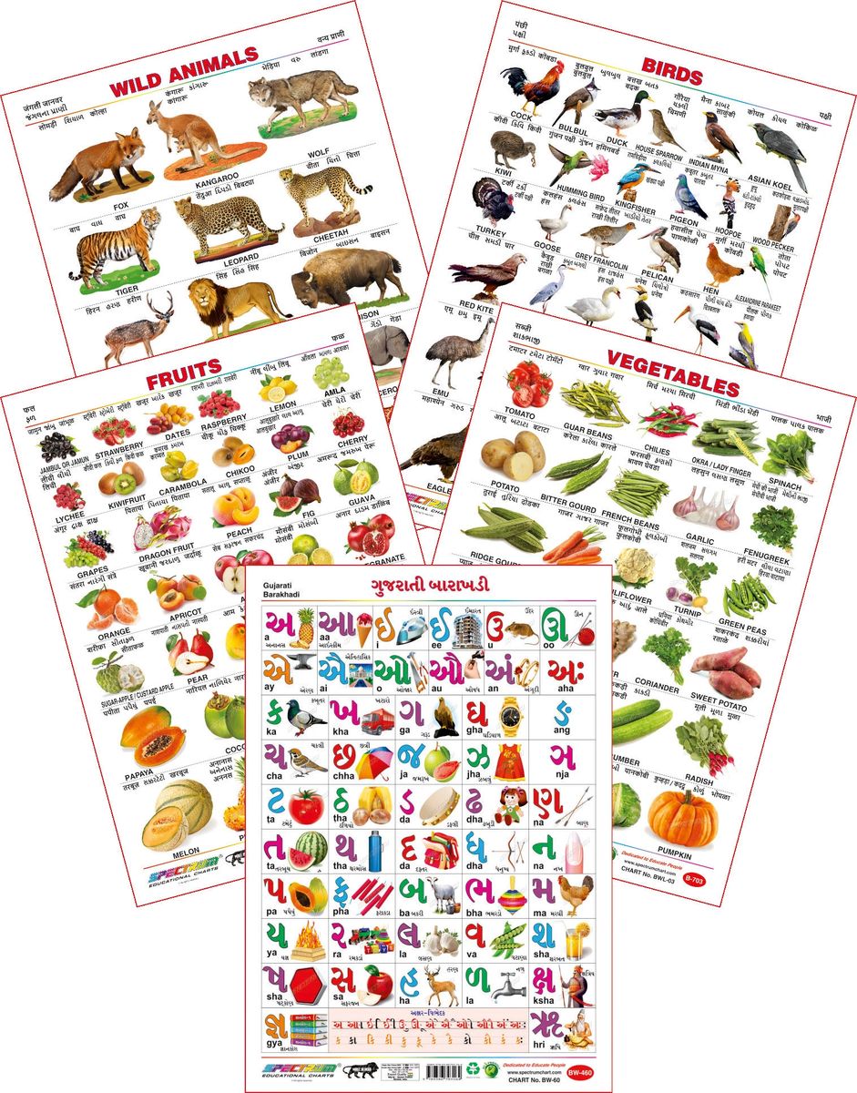 Spectrum Educational Large Wall Charts (Set of 5) : ( Wild Animals ...