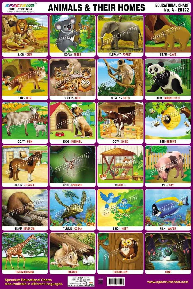 Chart Animals & Their Homes