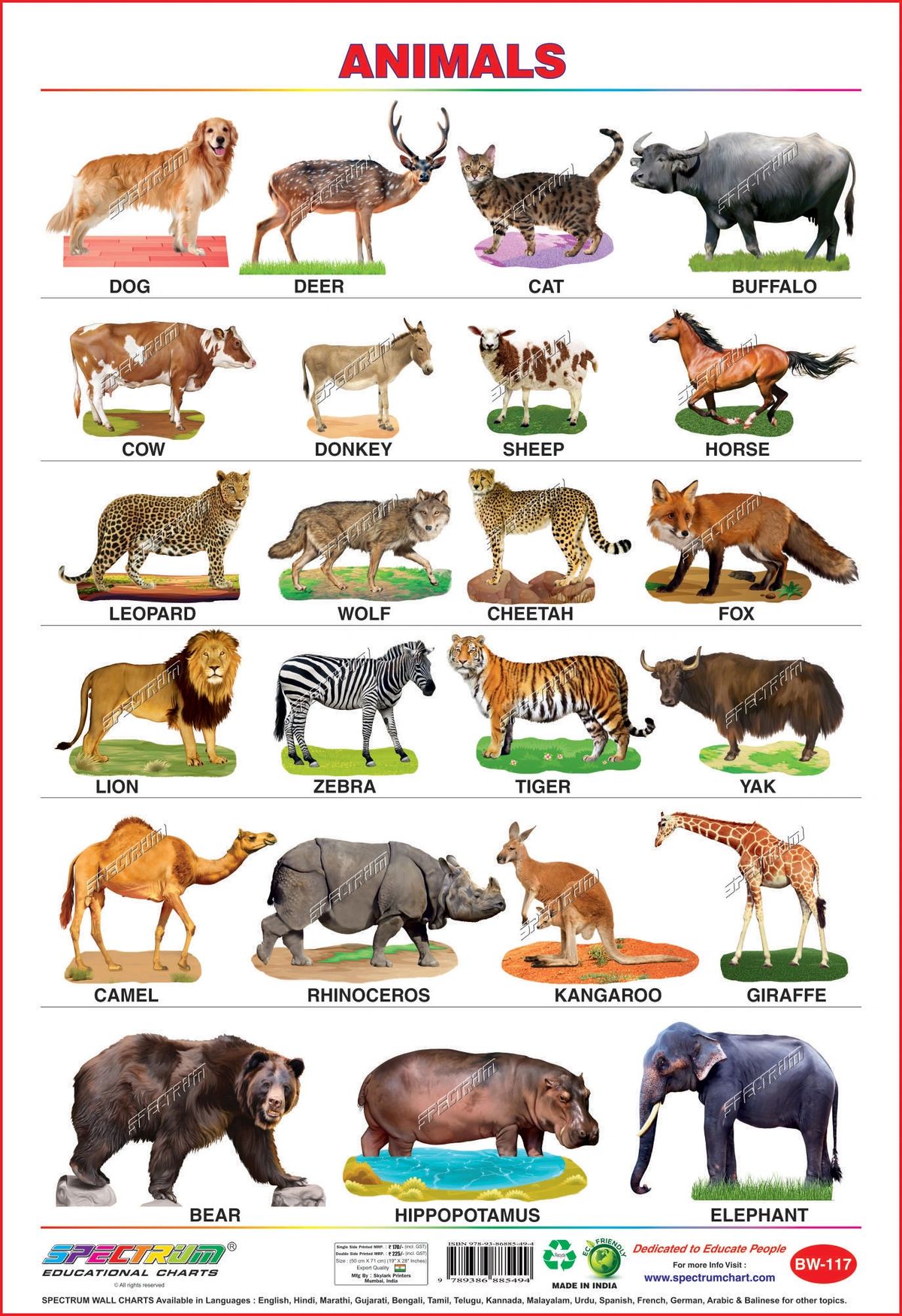 Indian Animals Chart