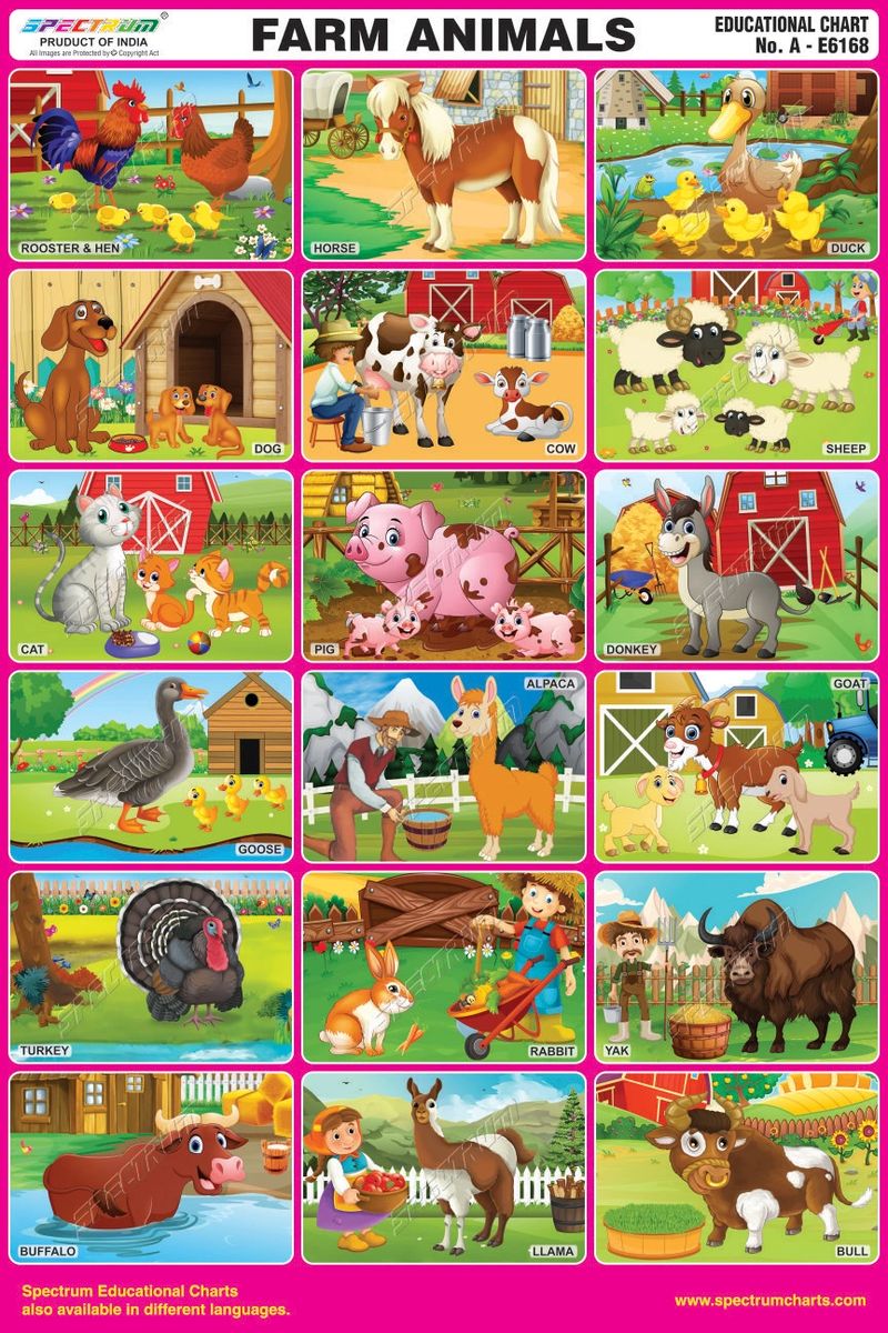 Chart Farm Animals