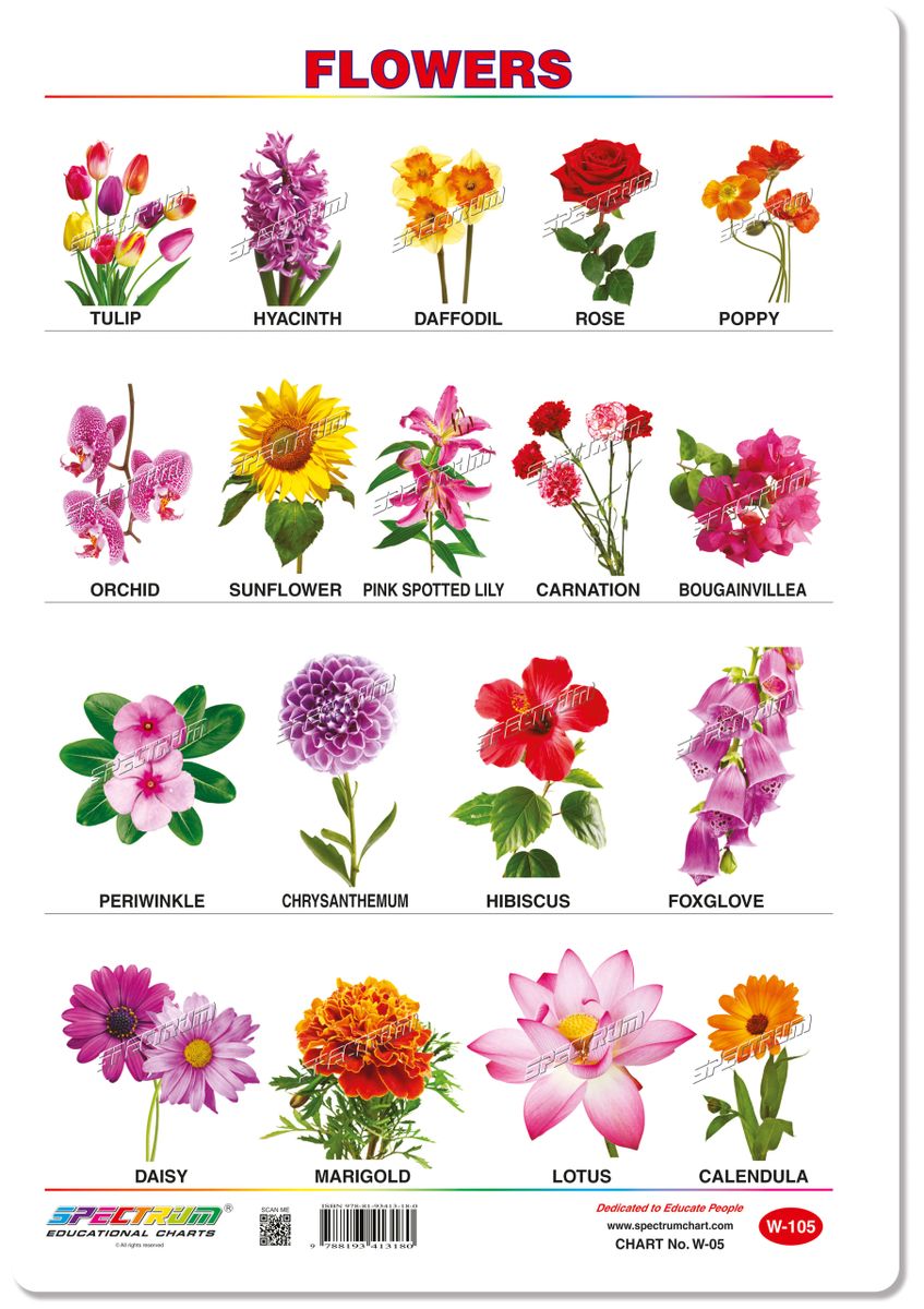 Chart Flowers