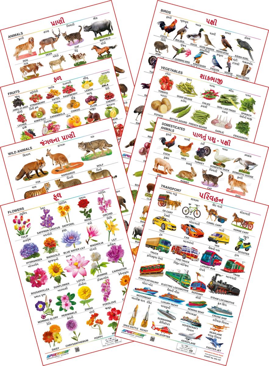 Spectrum Educational Mini Wall Chart (Set of 8) : ( Animals , Birds ...