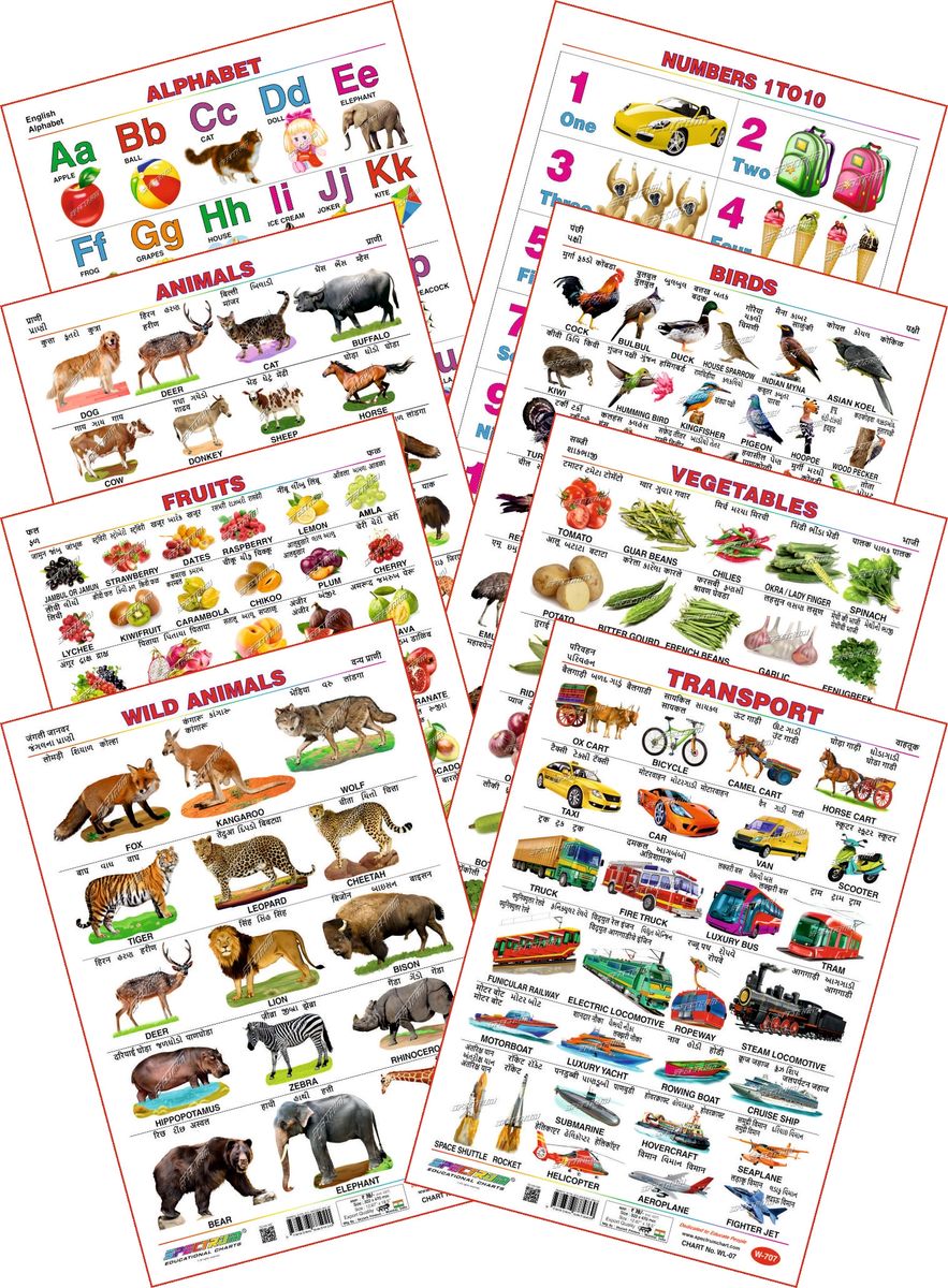 Spectrum Educational Mini Wall Chart (Set of 8) :Set 13 ( English ...