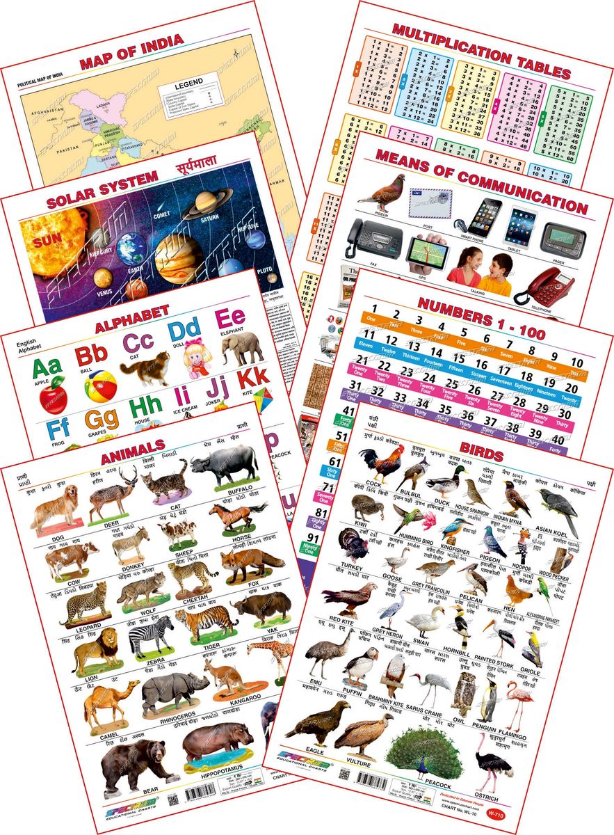 Spectrum Educational Mini Wall Chart (Set of 8) : Set 24 ( English ...