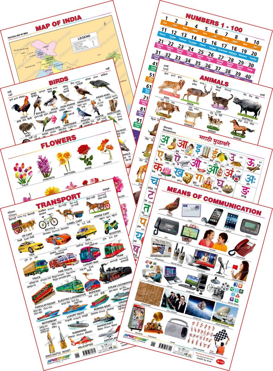 Spectrum Educational Mini Wall Chart (Set of 8) : Set 26 ( Marathi ...