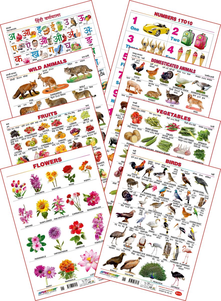 Spectrum Educational Mini Wall Chart (Set of 8) : Set 8 ( Hindi ...