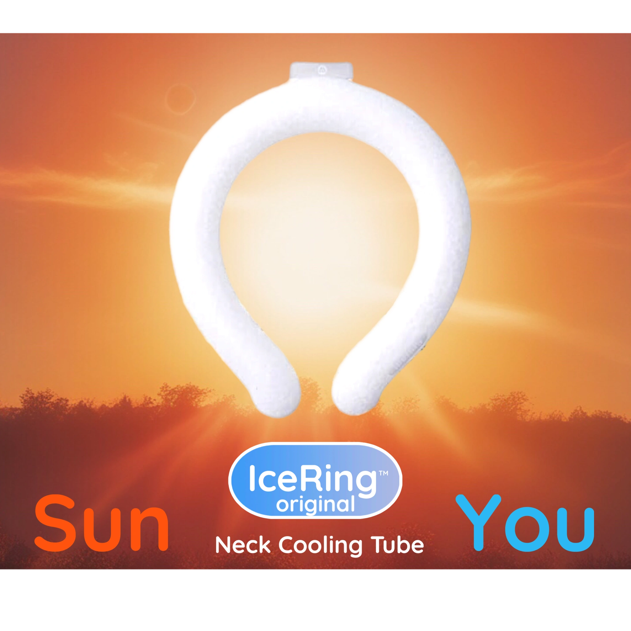 Ice Ring USA