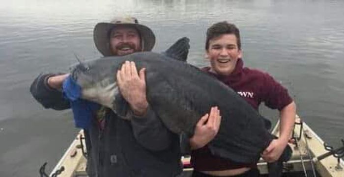 Catfishing Tennessee Guide Service in Memphis, Tennessee