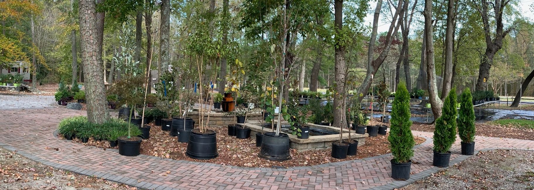 Peninsula Hardwood Mulch Inc. - Plants, Shrubs | Peninsula Hardwood ...