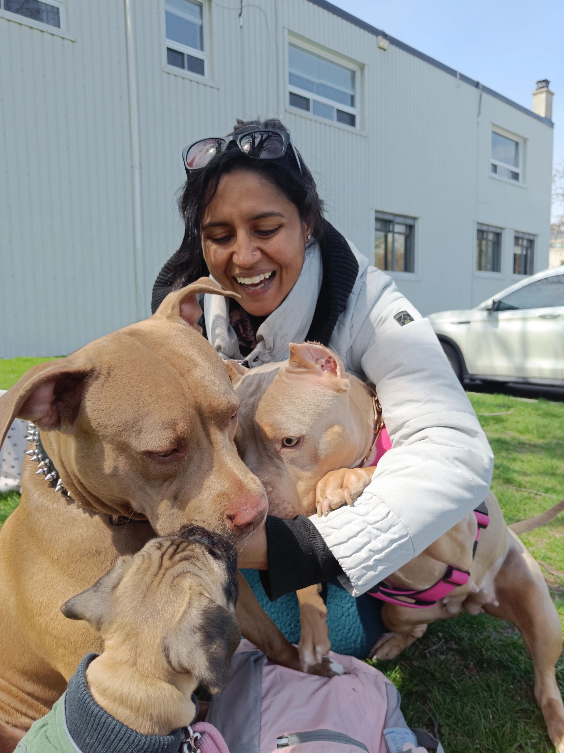 The Furry Company Inc.