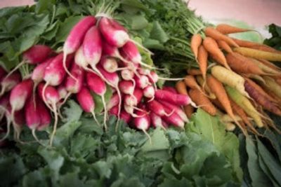 CSA | Deep Roots Farm