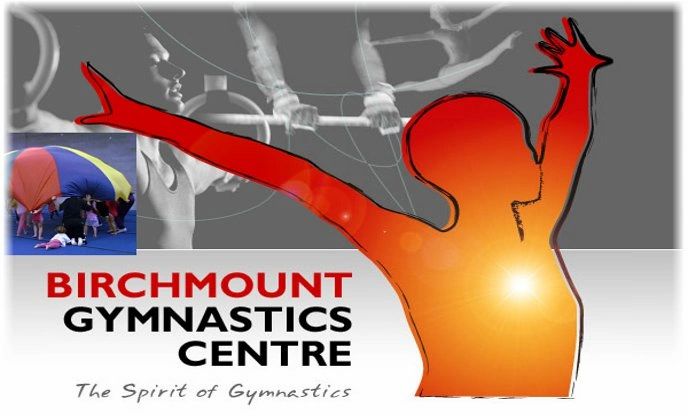 Adult Programs | Birchmount Gymnastics & Ninja Centre