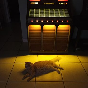 Customized Jukeboxes