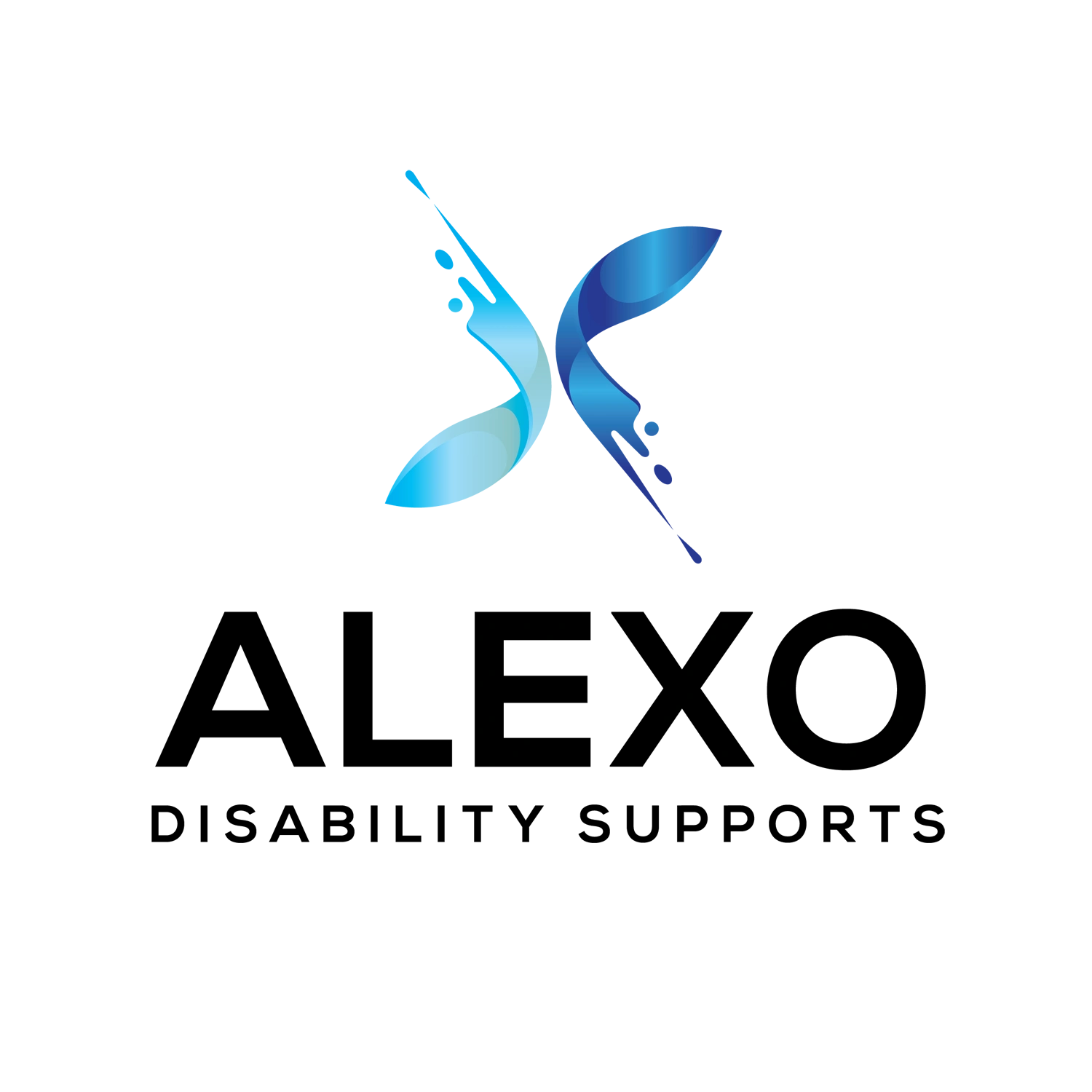 Alexo Disability Supports - Ndis, Support Coordination