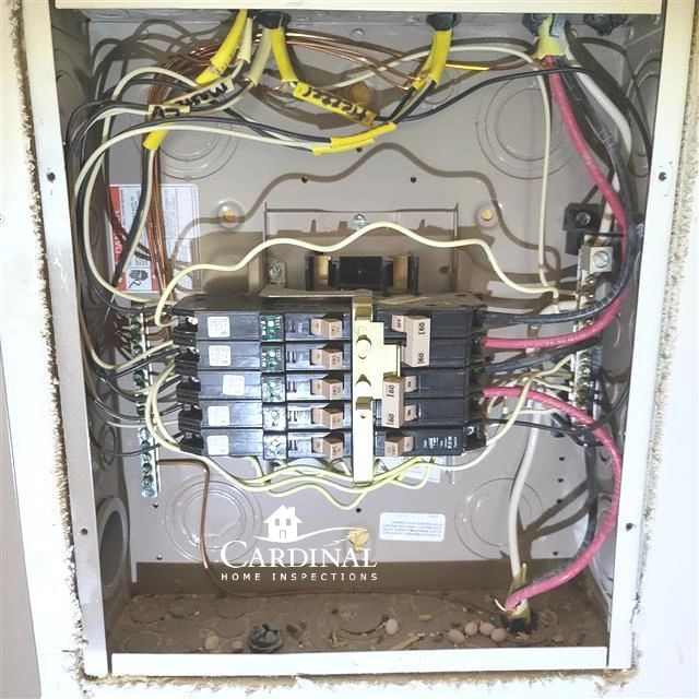 Eggs In Electrical Panel!