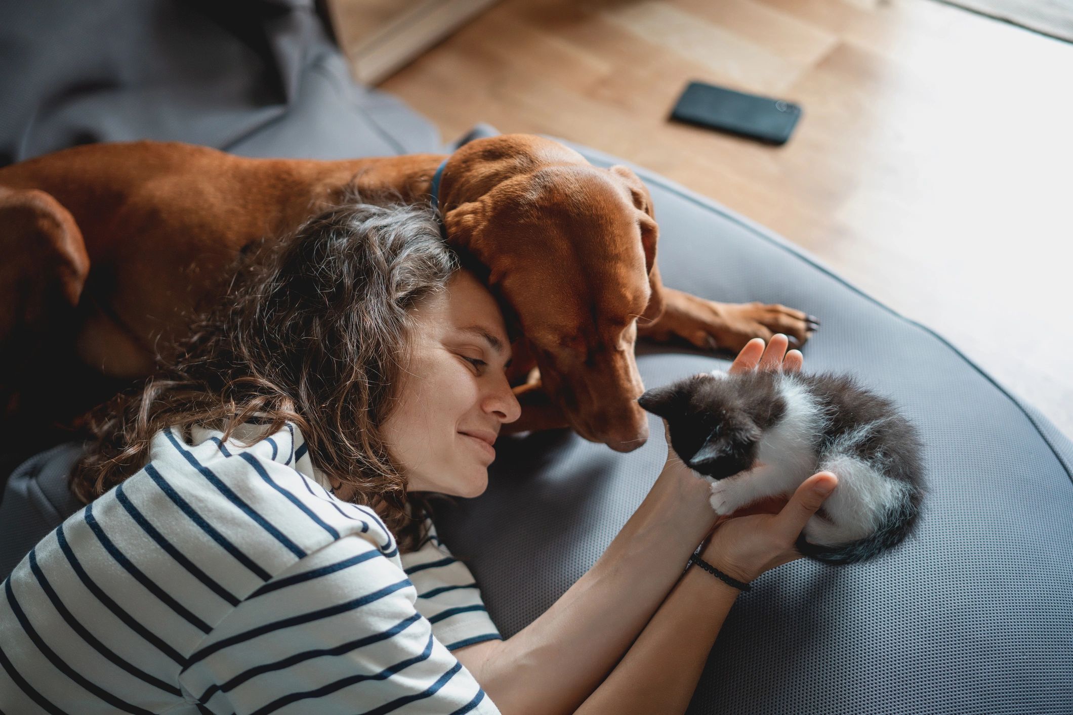 About | Anima Care