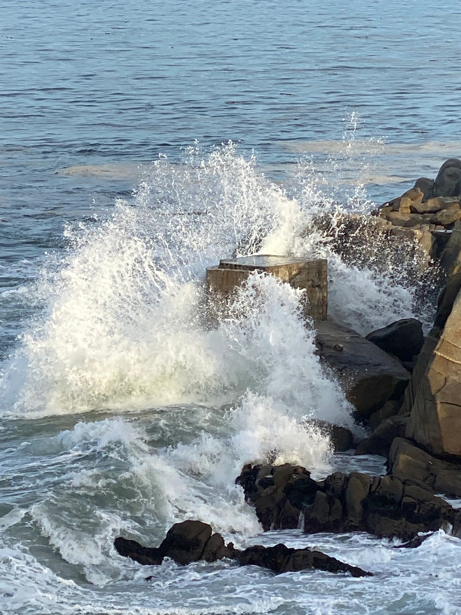 Dashboard | Michael Carlson Books