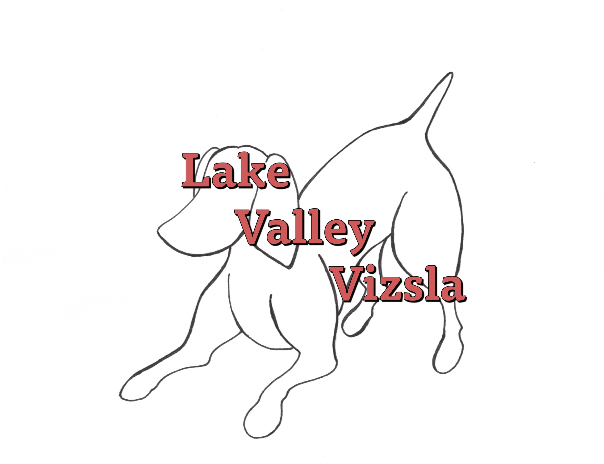 Our Dogs | lakevalleyvizsla.ca