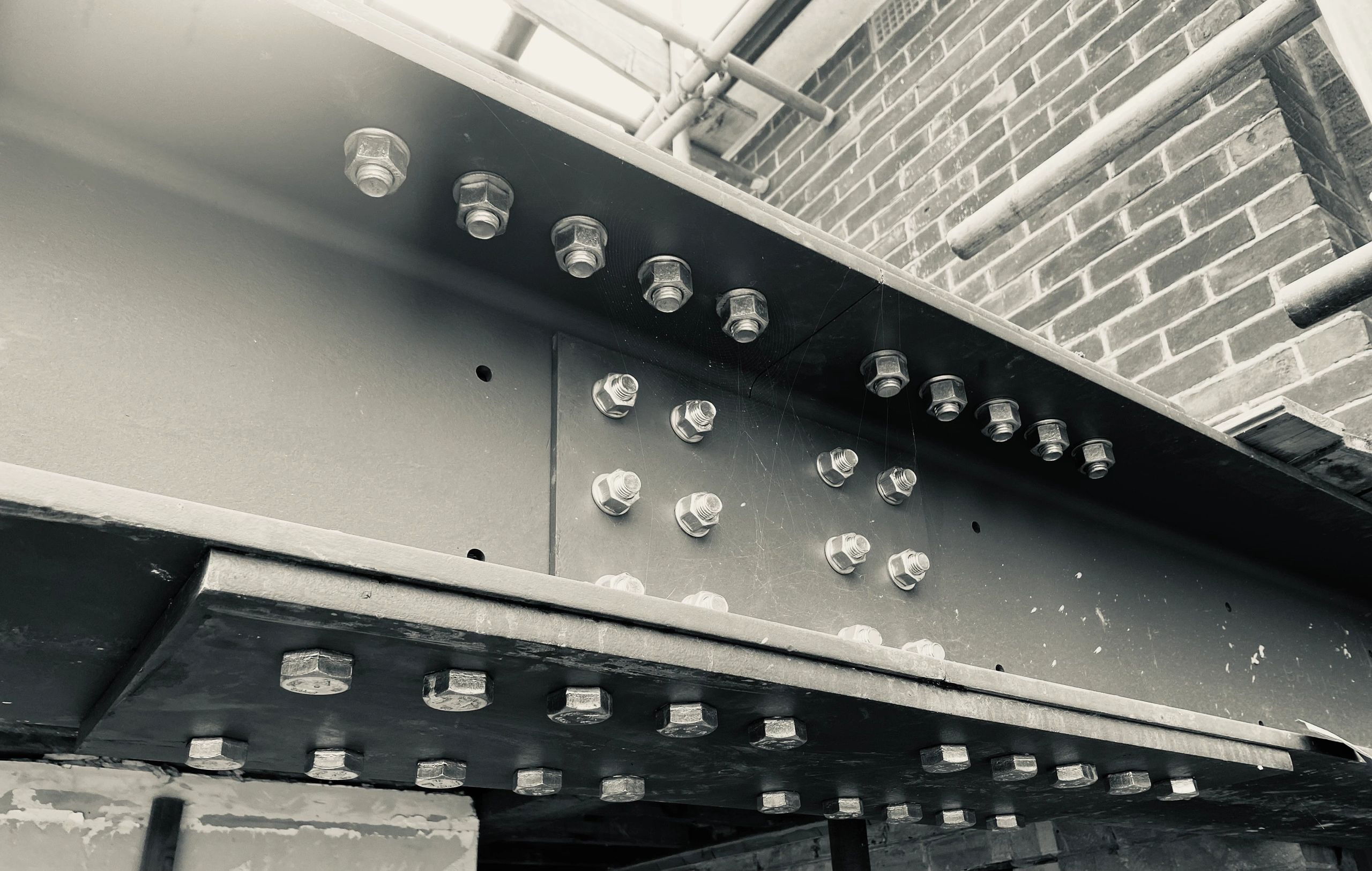 Meet the Team | DGCE