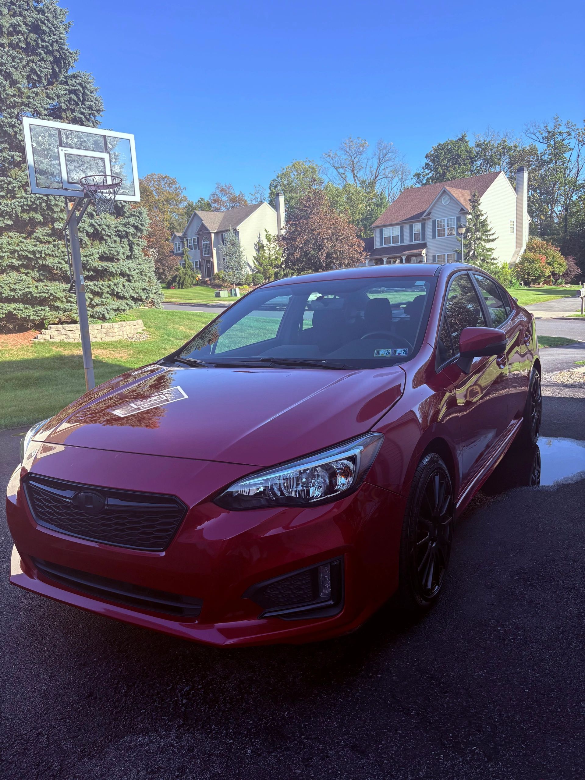PureLine Detailing