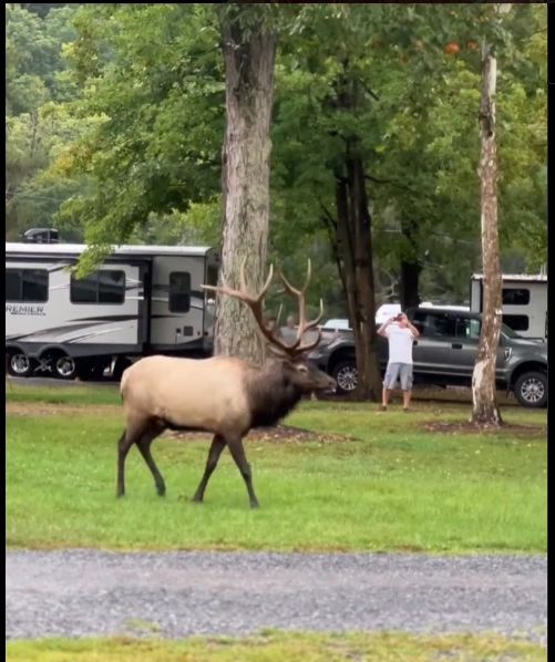 Elk Country Campground - RV Camping, Tent Camping
