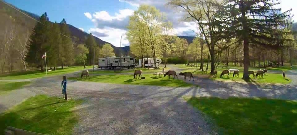 Elk Country Campground - RV Camping, Tent Camping